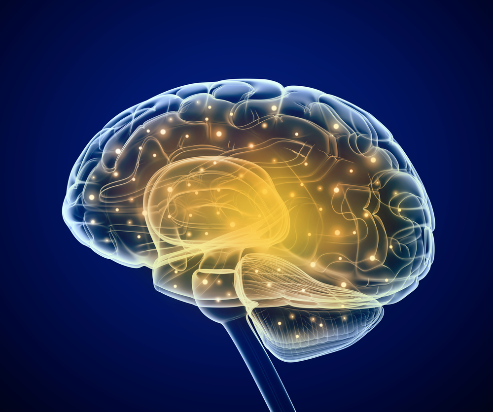 Detox In South Florida What Does Cocaine Do To Your Brain 1st Step detox-in-south-florida-what-does-cocaine-do-to-your-brain-1st-step
