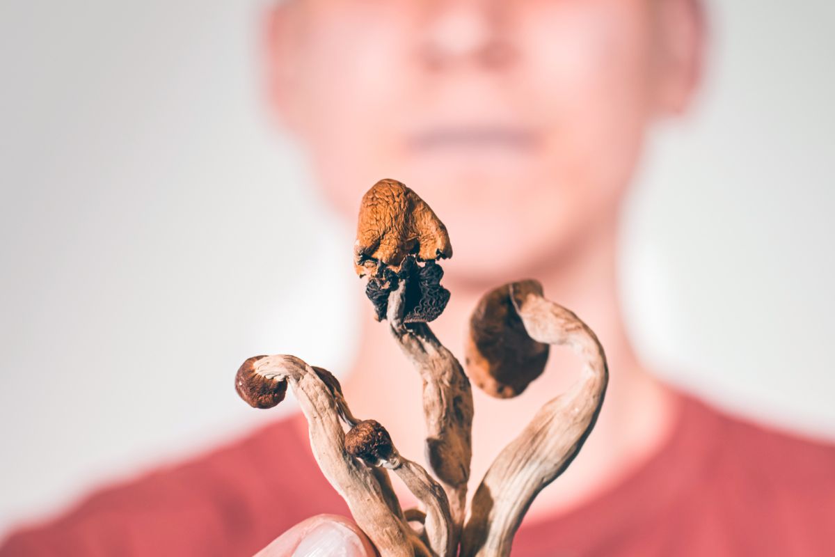 Can Psychedelics Cure Addiction? Unleashing the Truth