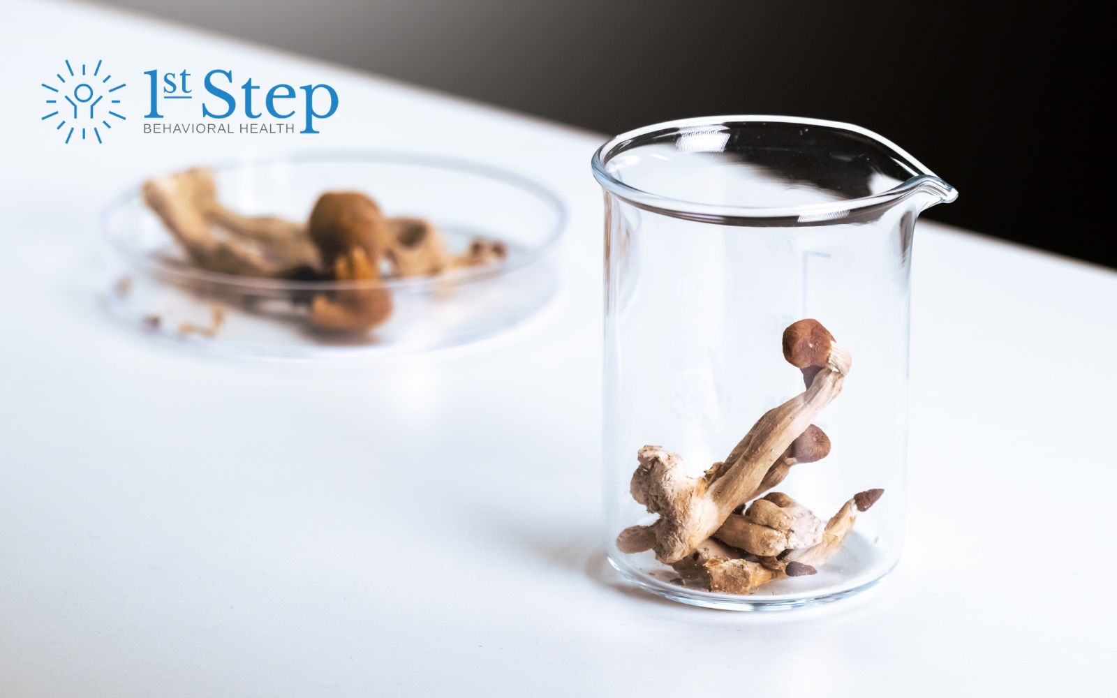 LSD vs Shrooms: Side Effects & Key Differences